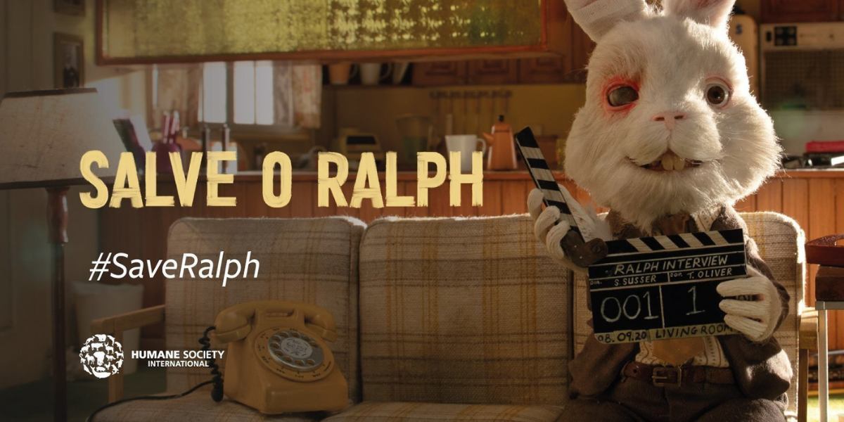 Campanha ‘Salve o Ralph’: pelo fim dos testes em animais - Mercadizar